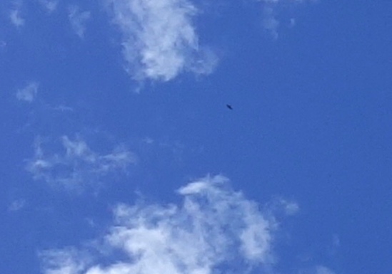 Egyptian gods | Heart Star