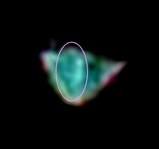 New Earth Update February 2021 | Heart Star