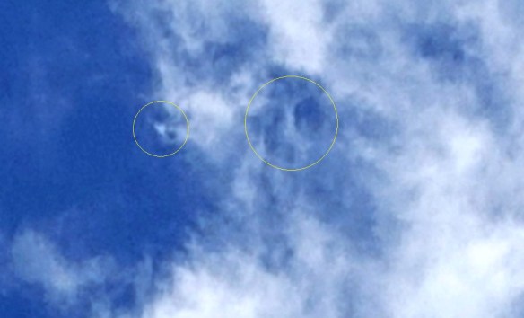 Tara Light | Heart Star